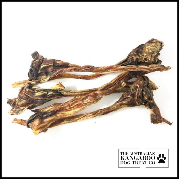 Benefits of Kangaroo Tendons – The Kangaroo Dog Treat Co