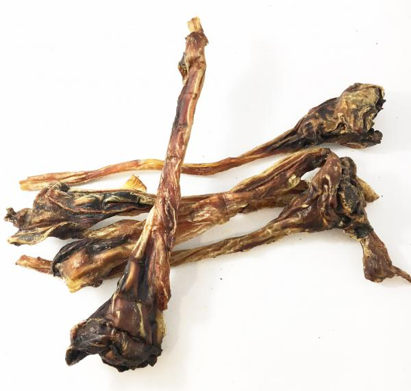 Premium Kangaroo Tendons – The Kangaroo Dog Treat Co